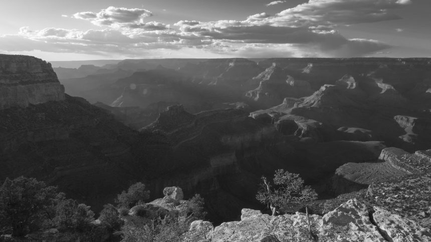 Photos taken by Adrian Montgomery – Adrian Montgomery Photographer ...